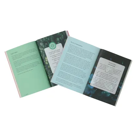 elevate book bundle: the power of intuition, chakras and auras | Five Below