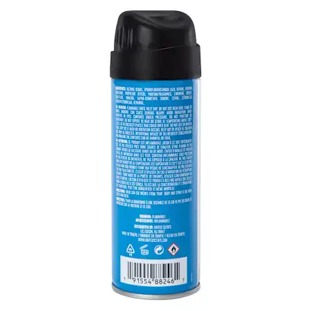 Mens Cool Breeze Aerosol Body Spray 6.8oz | Five Below