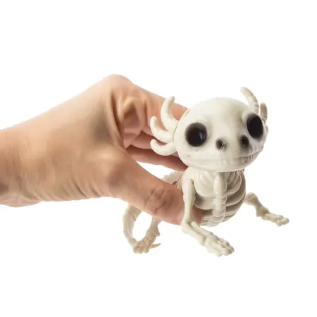 Halloween Axolotl Skeleton | Five Below
