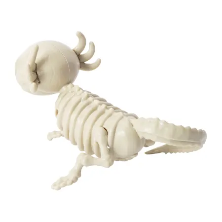 Halloween Axolotl Skeleton | Five Below