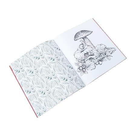 Forestcore Coloring Book | Five Below