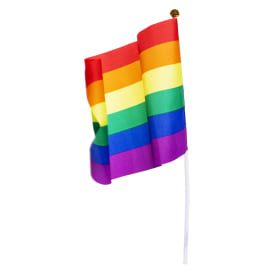 Mini Pride Flag 11.75in | Five Below