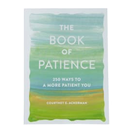 the book of patience by courtney e. ackerman | Five Below