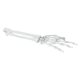 halloween bones | Five Below