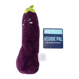 bottle crunch squeaky dog toy | Five Below