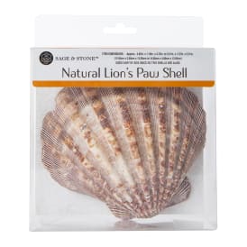 sage & stone™ natural lion’s paw shell for smudging | Five Below
