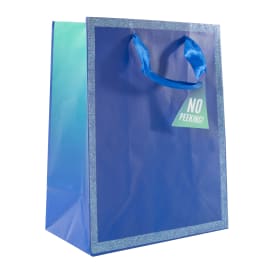 medium gift bag 7in x 9in | Five Below