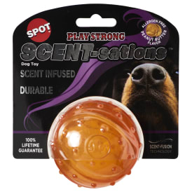 spot® play strong™ peanut butter scented dog toy | Five Below