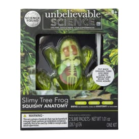 the science squad® unbelievable science slimy tree frog squishy anatomy ...