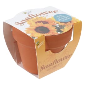 mini potted plant grow kit | Five Below