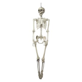 life-size skeleton decoration 5.5ft | Five Below