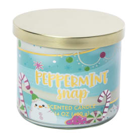 Holiday Scented Candle 14oz | Five Below