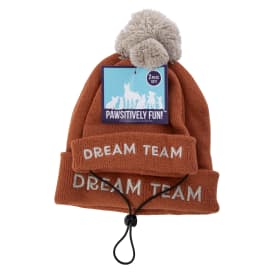 Matching Pet & Owner Fall Beanie Hats Set | Five Below