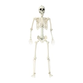 LED Skeleton Halloween Decor 5.5ft | Five Below