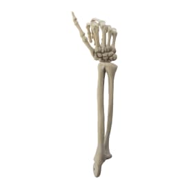 Halloween Skeleton Bone Decor | Five Below