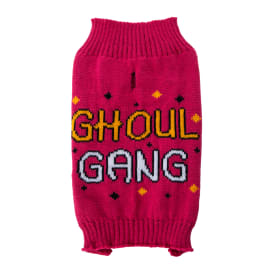 Halloween Pet Sweater | Five Below