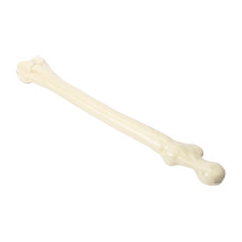 Halloween Leg Bone Décor | Five Below