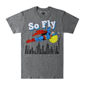 Superman™ So Fly Graphic Tee | Five Below